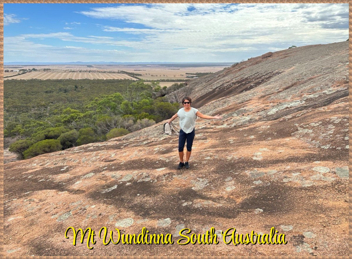 Wudinna, South Australia – Jack and Mallie – All around Australia!
